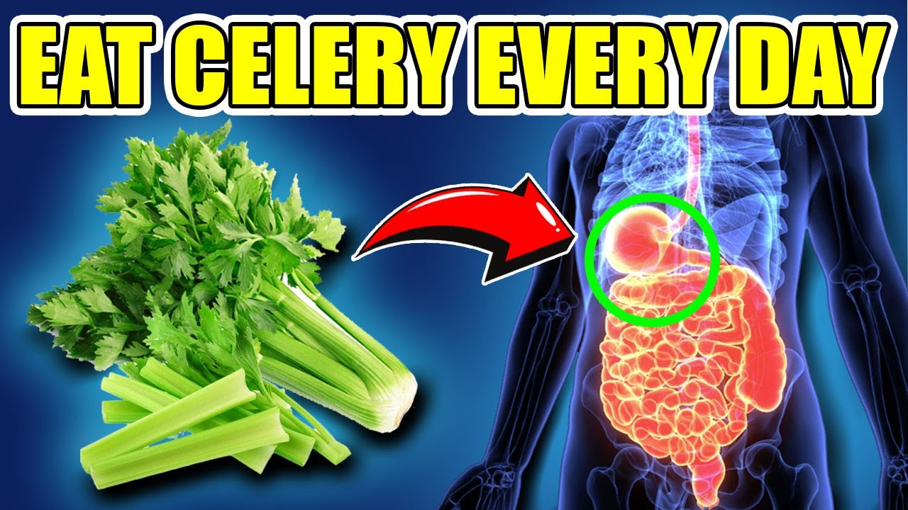Eat CELERY Every Day For A Week, See What Happens To Your Body ...