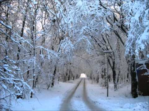 Louise Fribo - Duerne Flyver - YouTube