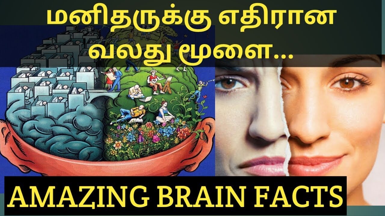 AMAZING BRAIN FACTS/TAMIL/IRAI OLI VASUDEVAN - YouTube