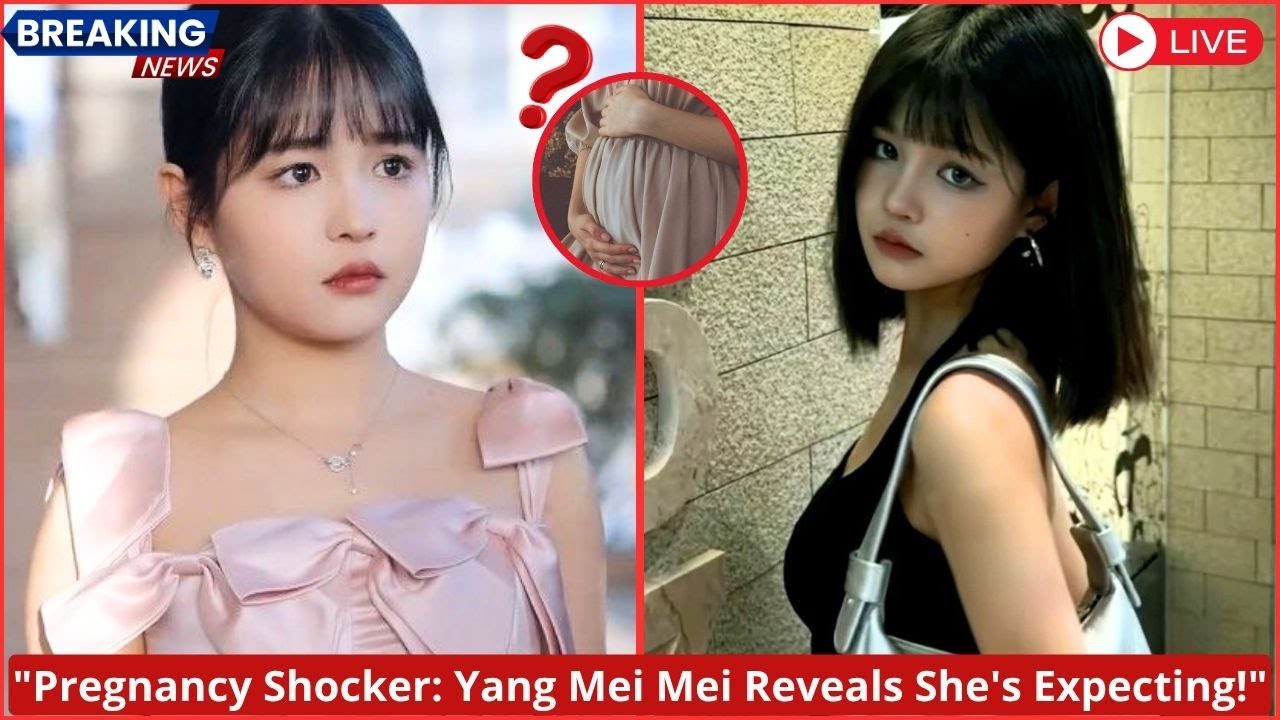 🤰💥 “Yang Mei Mei SHOCKS Fans: ‘I’m Pregnant!’ But WHO’s The Father ...