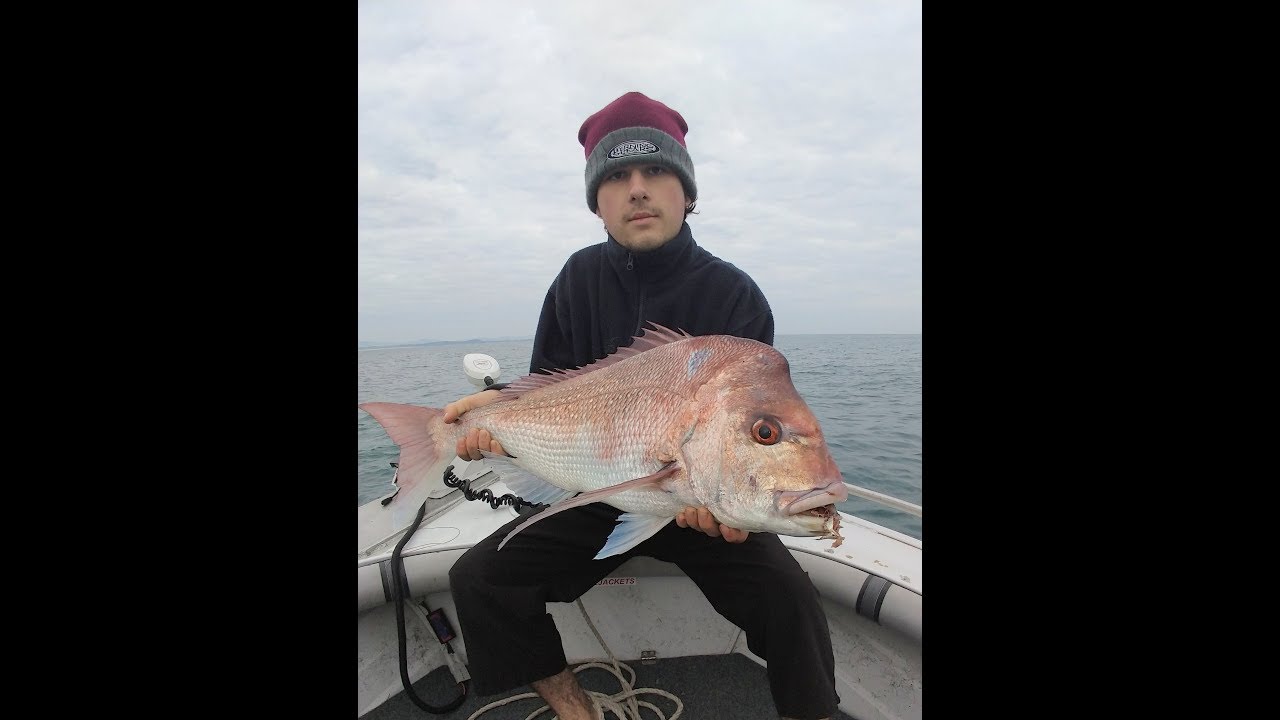 Snapper Fishing Gold Coast and Tweed Coast. - YouTube