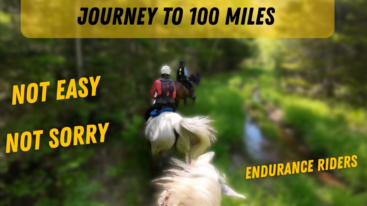 Endurance Horseback Riding miles 72-76 in Deep Woods on rugged sketchy ...