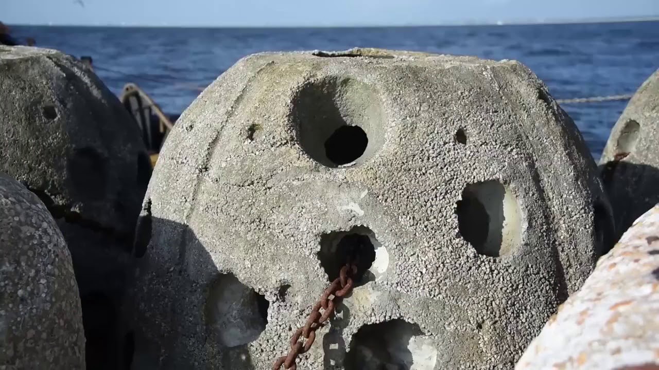 Concrete Reef Balls Create Underwater Habitats off Coast of Florida ...