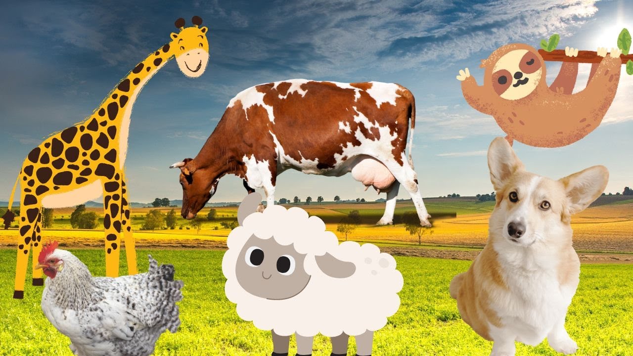 Diverse animal sounds in nature: giraffes, elephants, penguins, rabbits ...