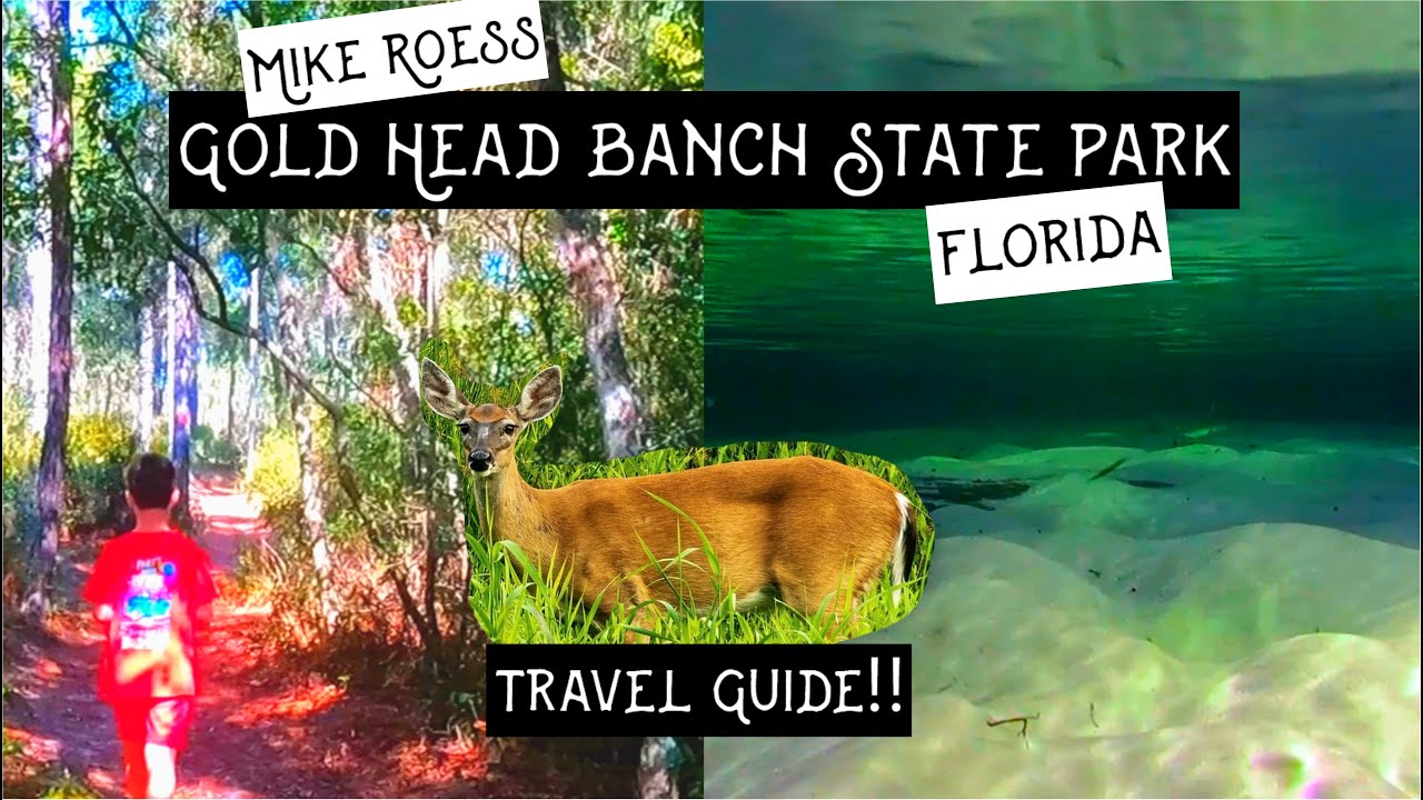 Exploring the SPRINGS and SANDHILLS of Mike Roess Gold Head Branch ...