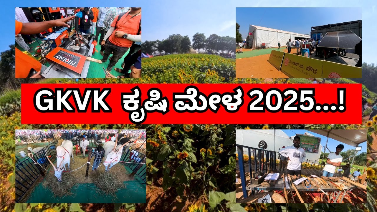 GKVK ಕೃಷಿ ಮೇಳ 2025...! || ||GKVK ಹೈಲೈಟ್ಸ್ || || Farmer's Festival || Mr ...