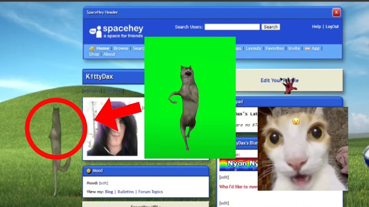 Tuto de como poner un gift en SpaceHey :D👍 - YouTube