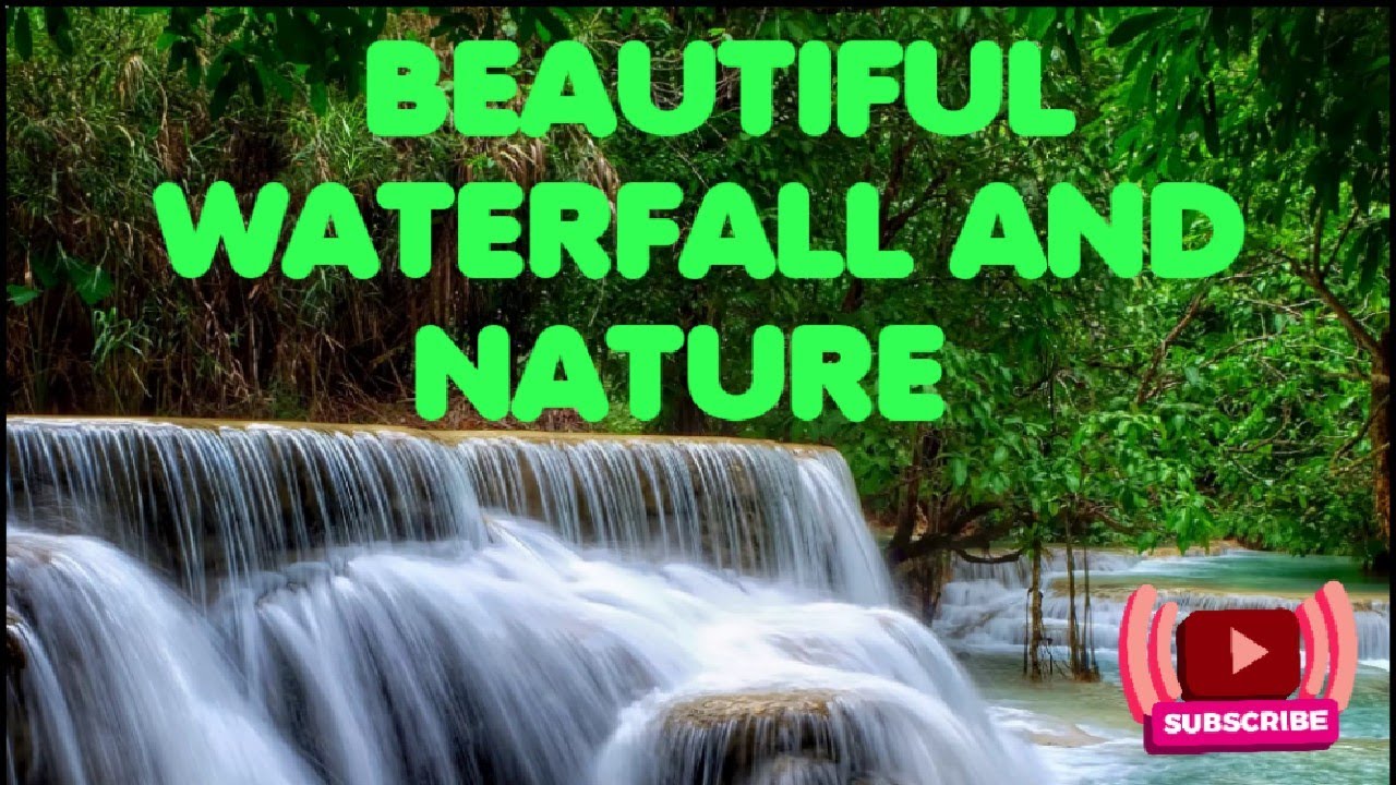 Forest waterfall and Nature see the Beautiful seen - YouTube