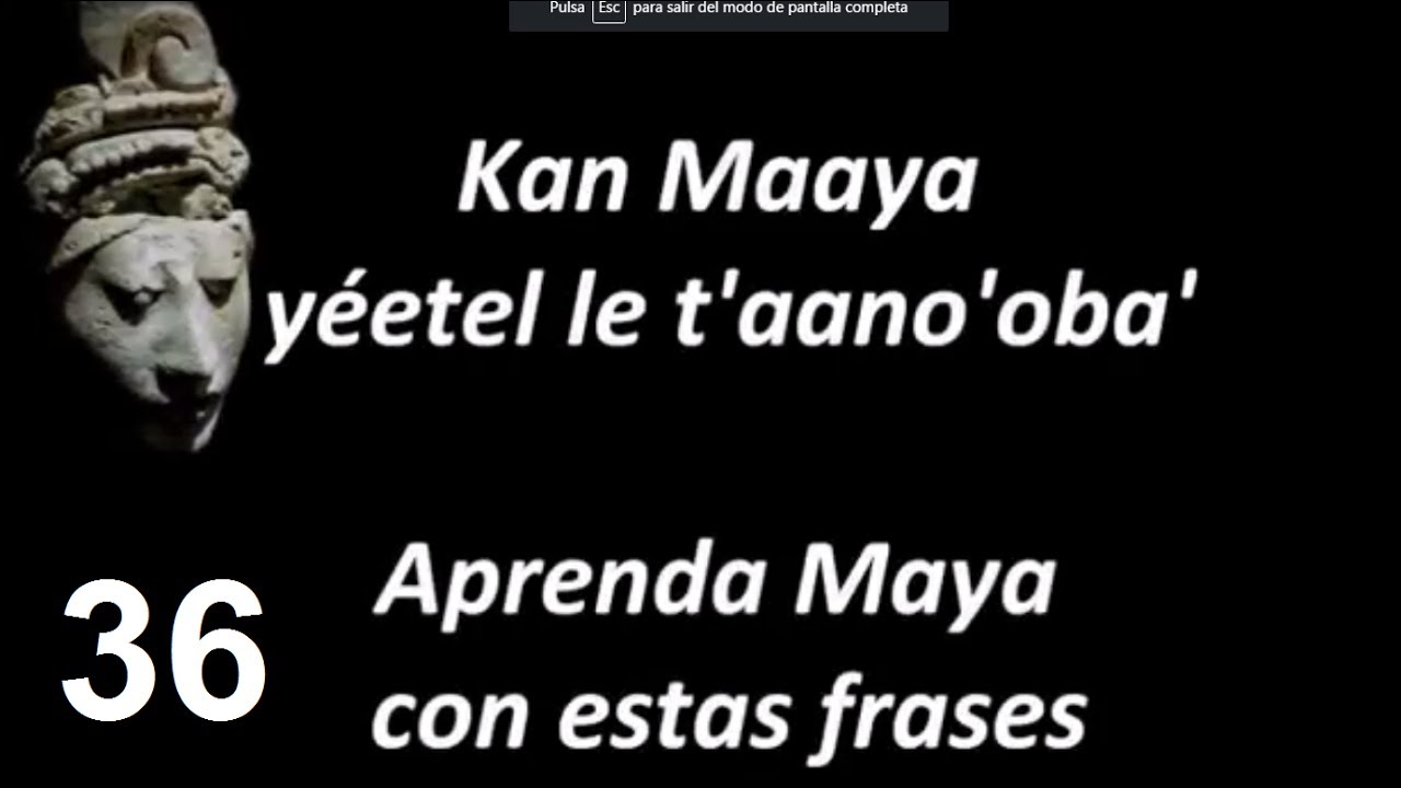36.-Aprenda Maya, Frases 30 (¿qué sucedió?, ¿qué hacen?) - YouTube