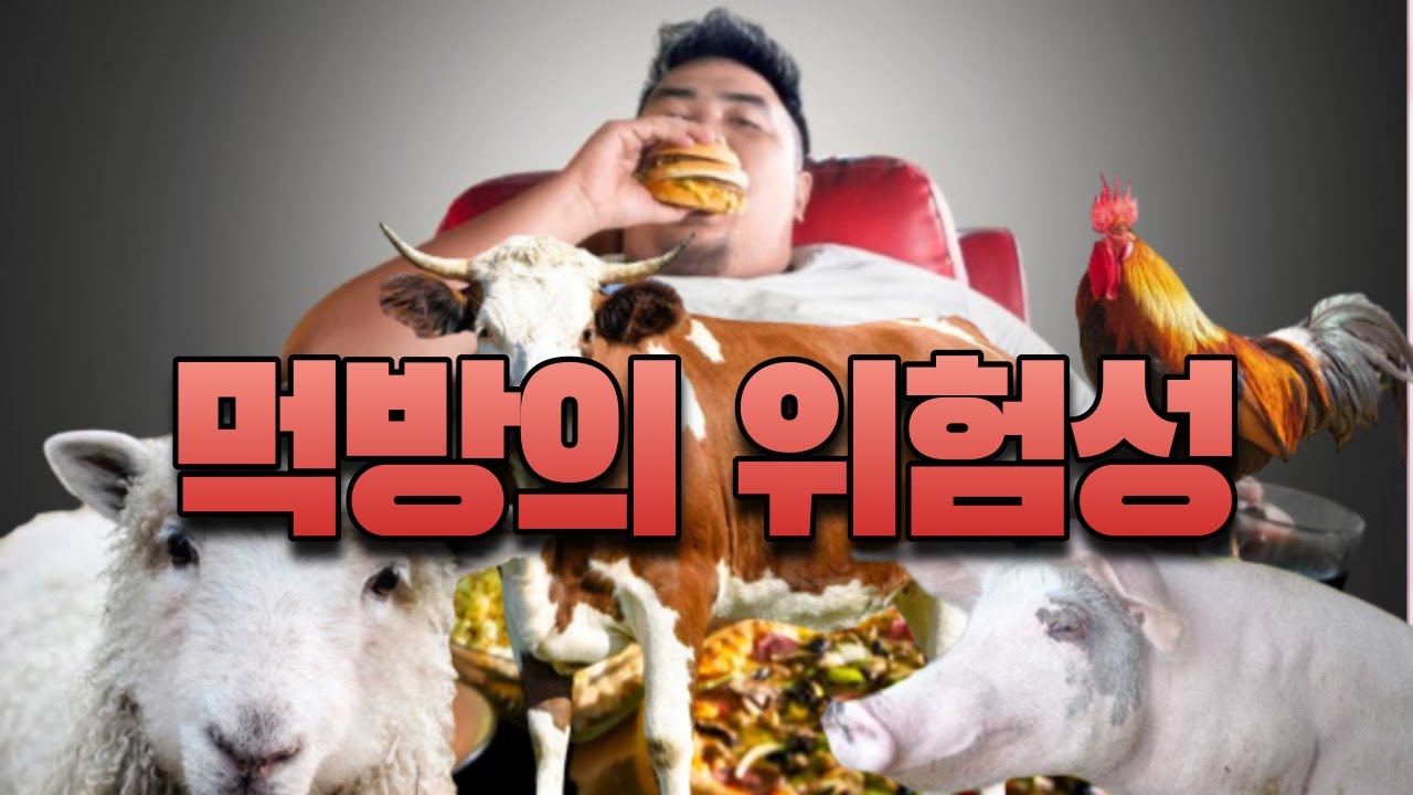 [우주기] 먹방의 위험성 (Mukbang is dangerous and bad), 인간이 최상위 포식자라지만 먹는 생물들의 ...
