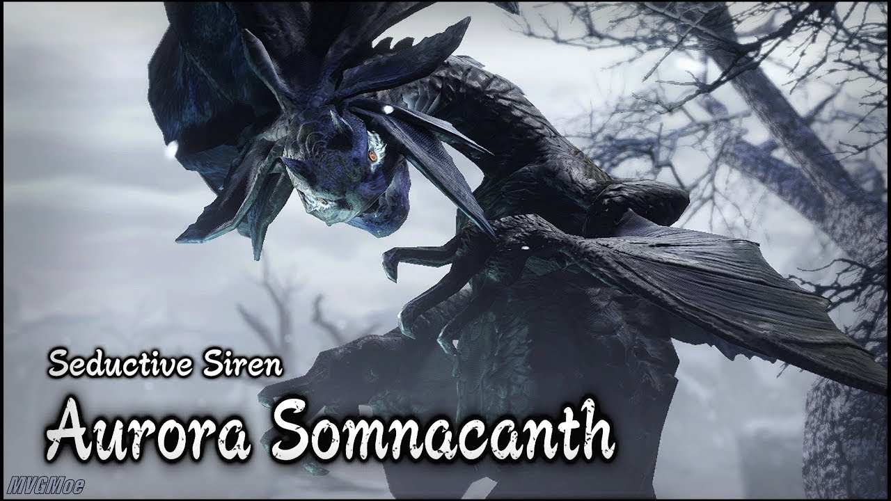 The ultimate duo fights Aurora somnacanth - YouTube