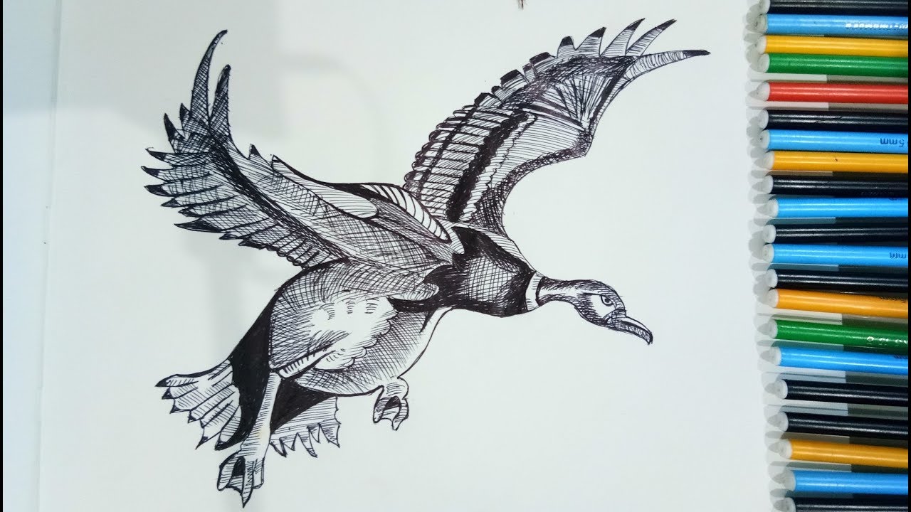 Wanna Draw Something..! Dare u to try this..if u can.! - YouTube