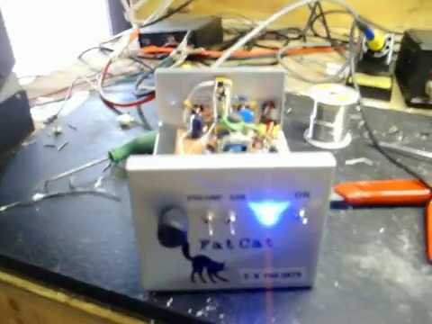 Fat Cat 2 pill amplifier with variable added - YouTube