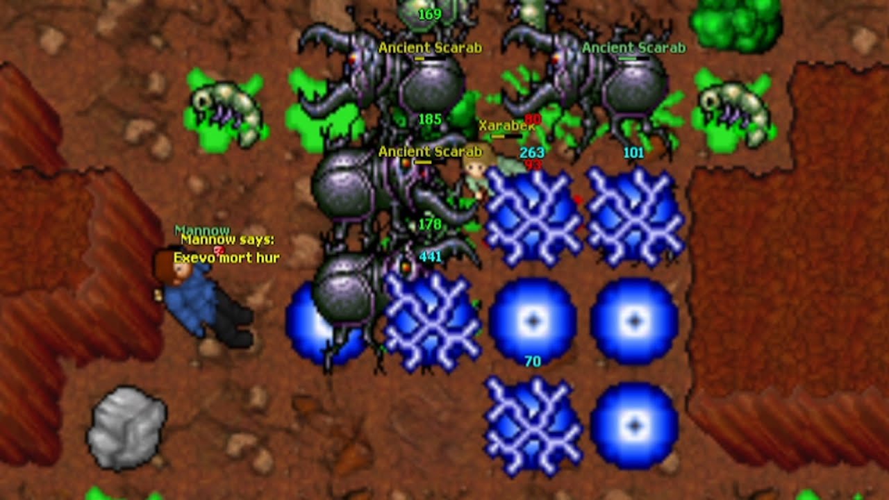 (EXP) Ancient Scarab Hunt! How Hard was to Gain 8% of Level! (Obsidia ...