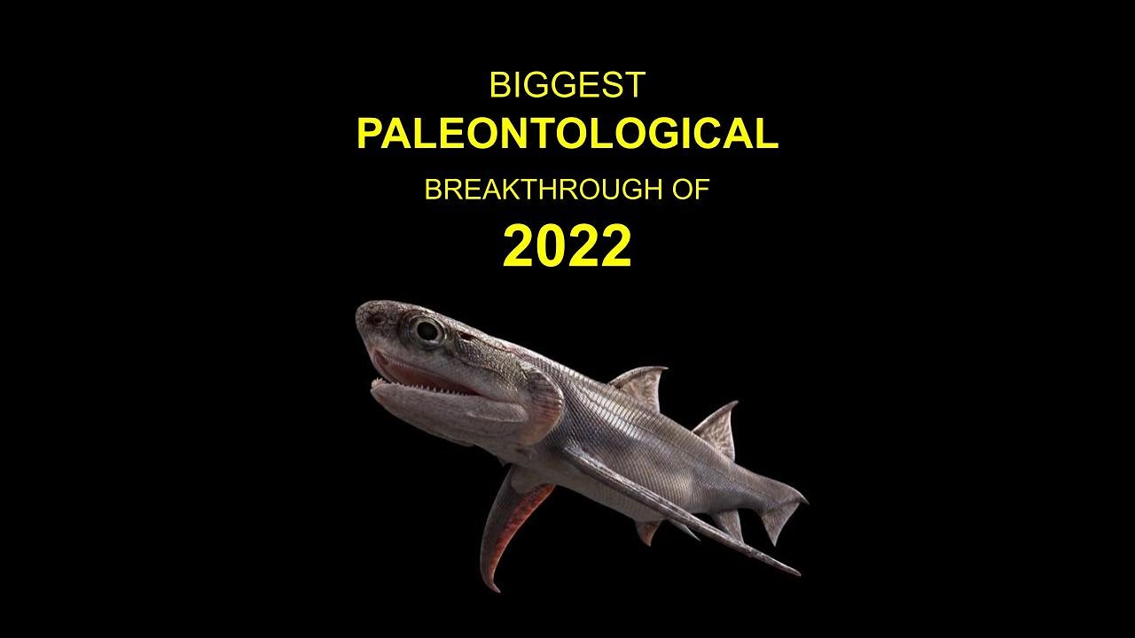 OLDEST "SHARK" TOOTH EVER?!?! - YouTube