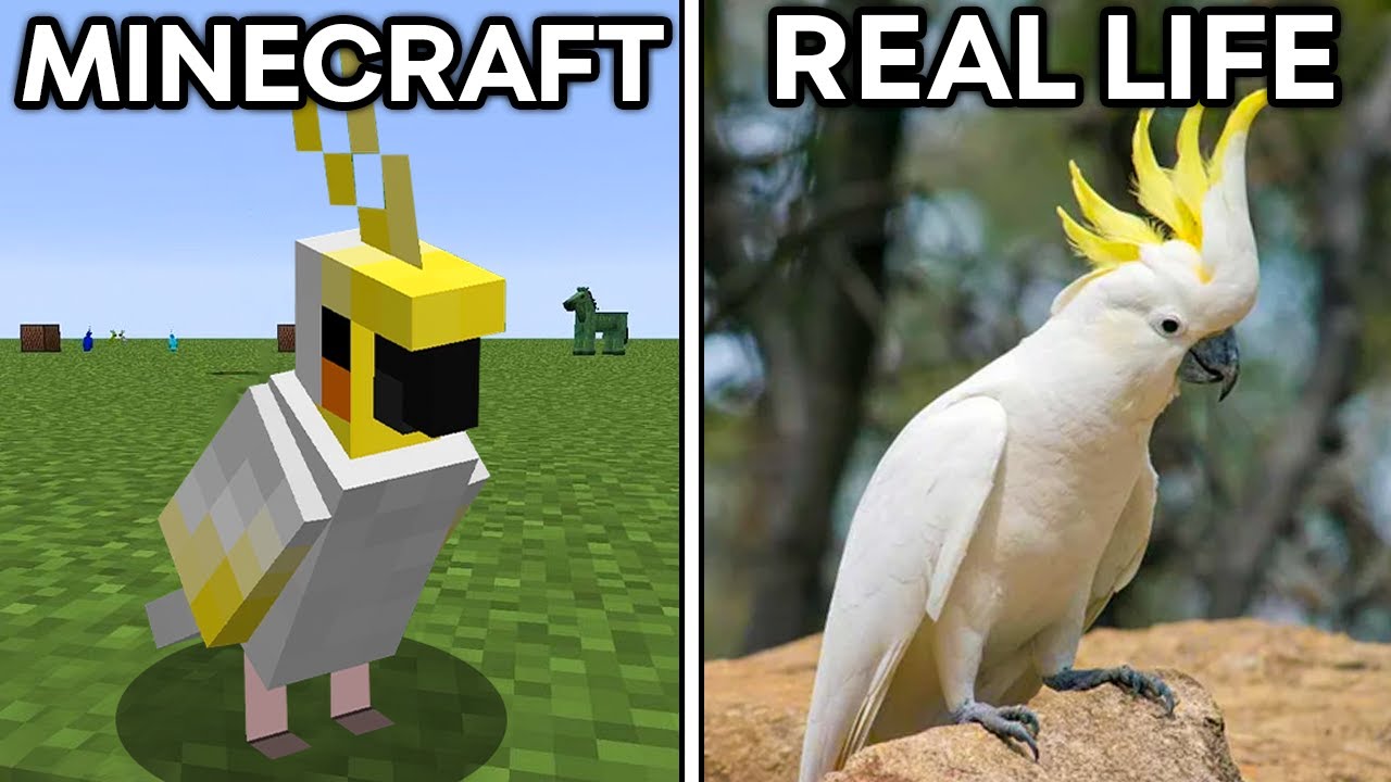 29 MINECRAFT ITEMS IN REAL LIFE! - YouTube