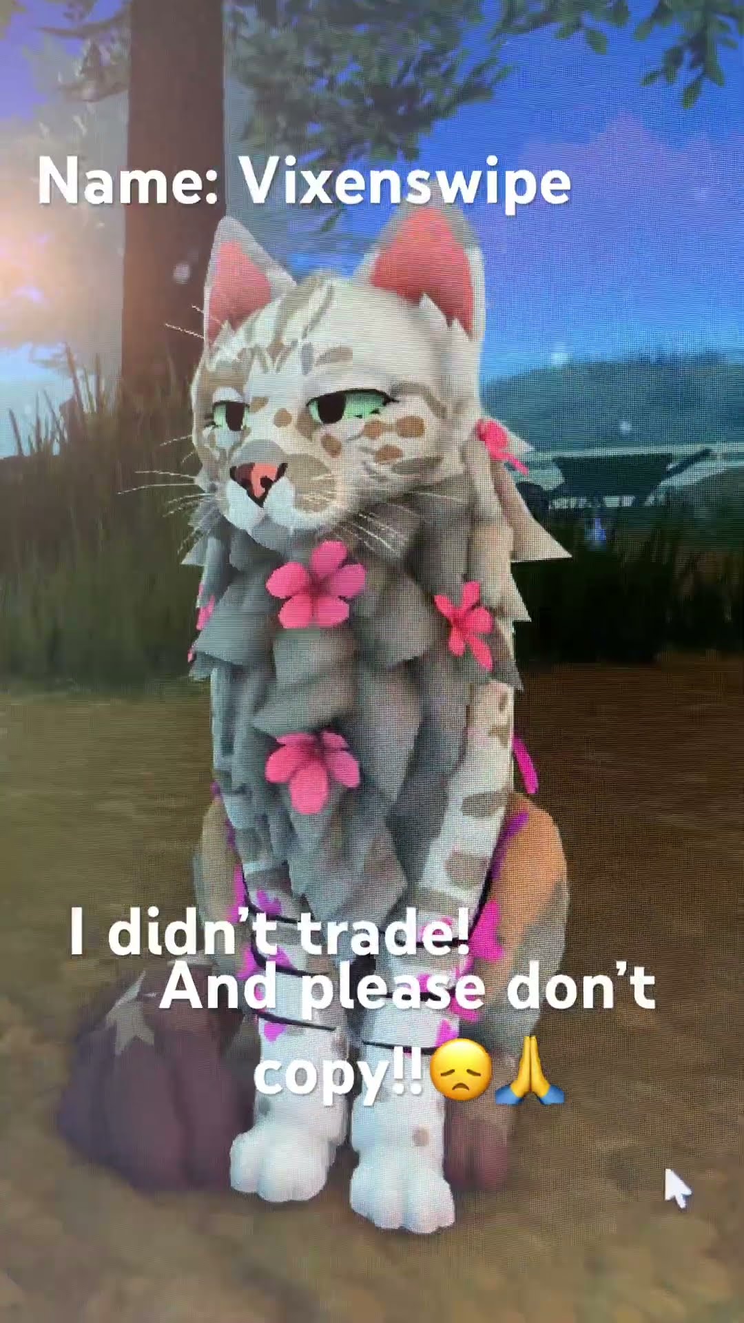 New morph for WCUE! #warriorcatsultimateedition #dontflop #wcue # ...