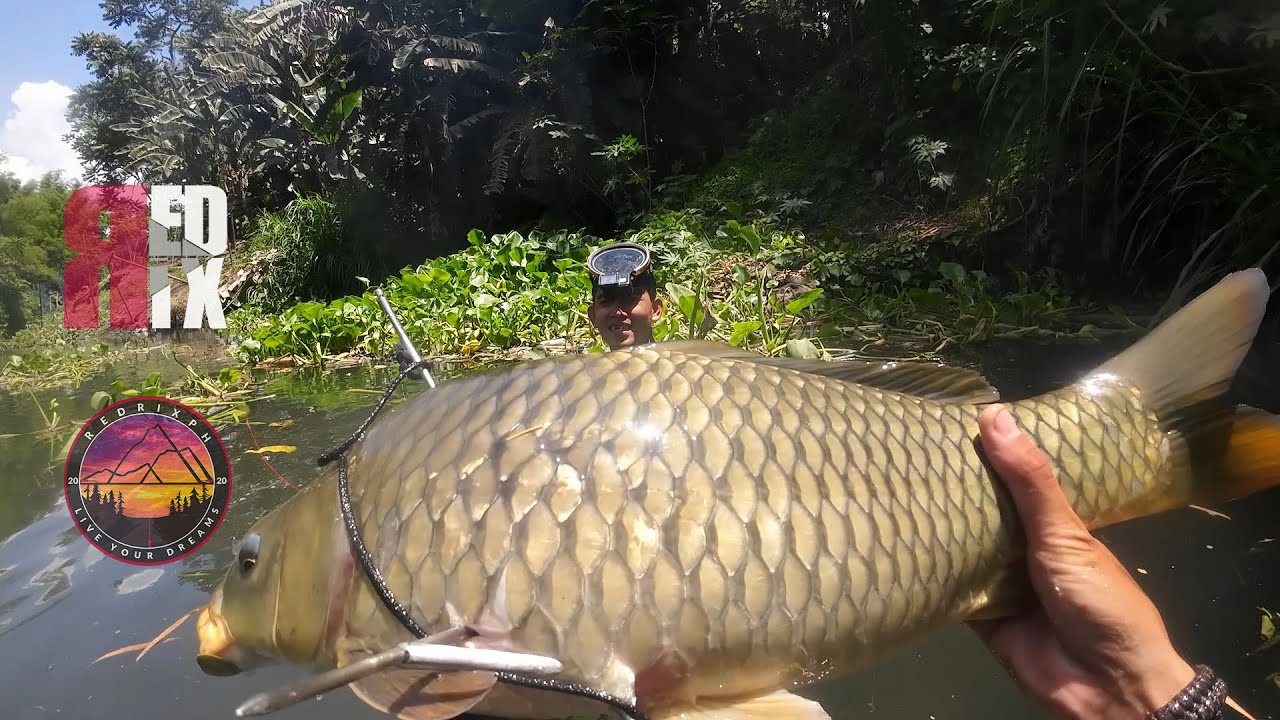 THRILLER! KARPA MADNESS! - YouTube