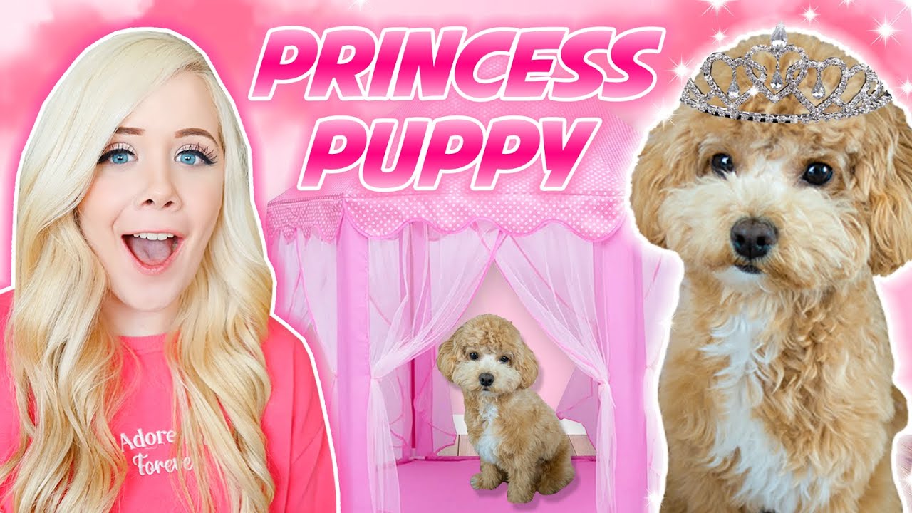 I TURNED MY PUPPY INTO A PRINCESS FOR 24 HOURS! - YouTube