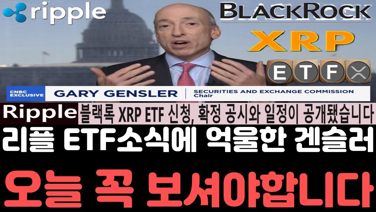 리플전망 리플 블랙록의 Xrp Etf출시를 알리자 억울함을 호소하는 Sec위원장 오늘 영상은 꼭 보셔야합니다 리플전망 리플호재 리플급등 리플코인 리플소송