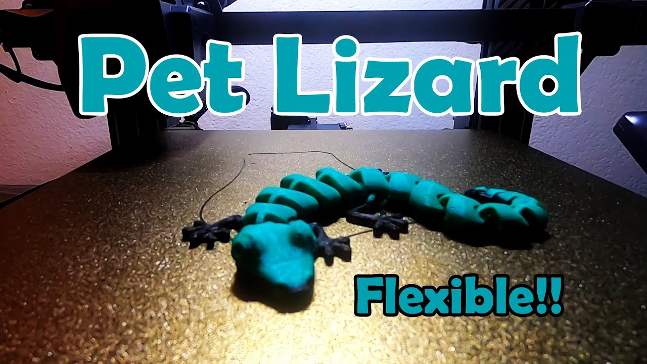 Pet Lizard (Flexi) - 3D Print Timelapse - YouTube