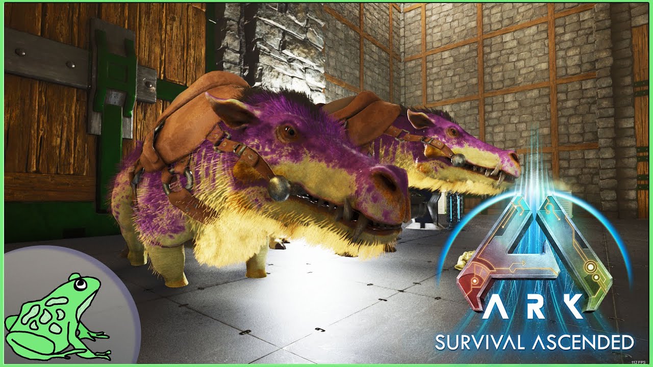 Bacon Traits- Ark Survival Ascended - YouTube