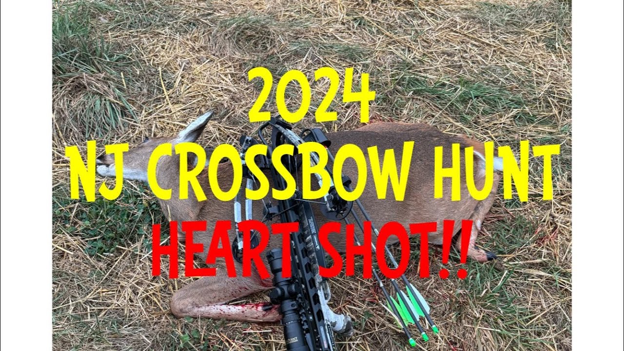 2024 NJ Crossbow Deer Hunt Heart Shot! #deerhunting #crossbow # ...