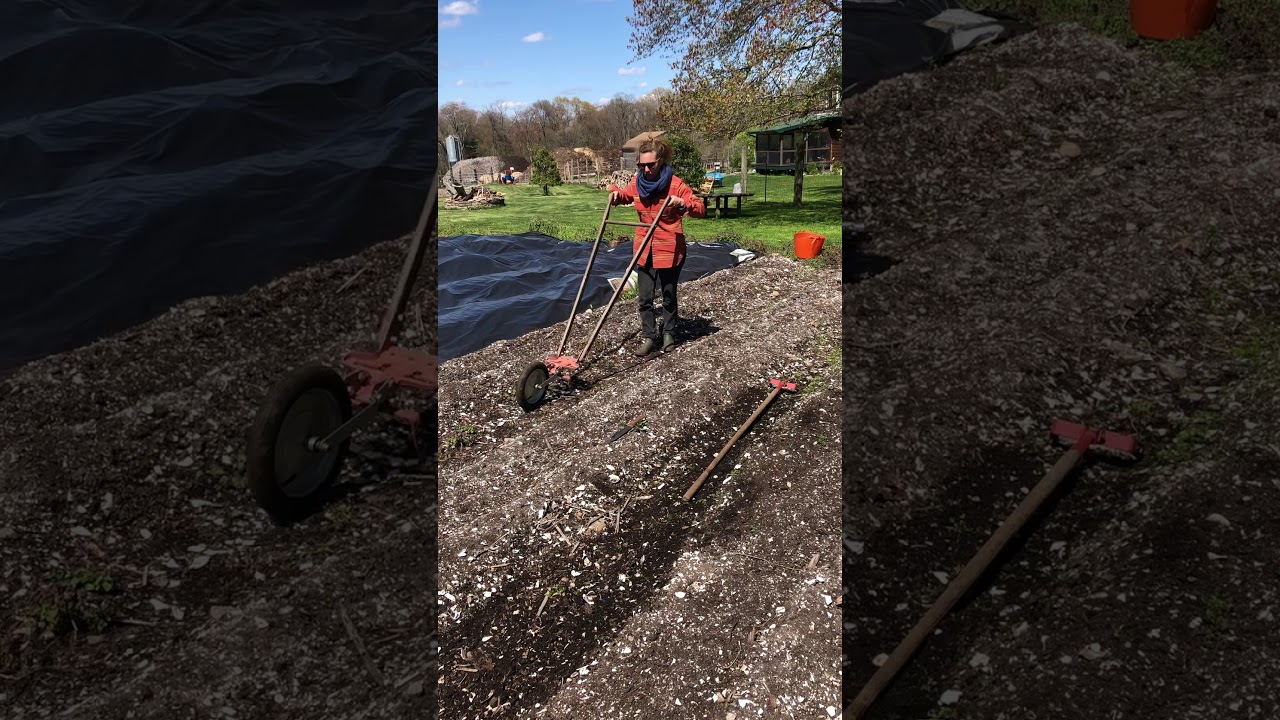 Weeding Techniques - YouTube