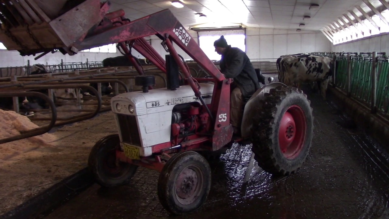 Putting Sawdust Bedding in Barn - YouTube