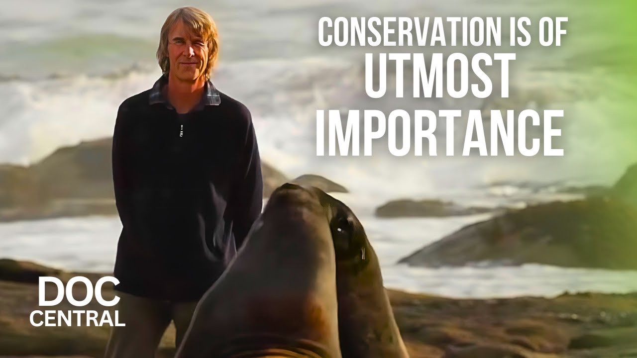 Craig Potton on the Most Incredible Sights of New Zealand | Fiordland ...