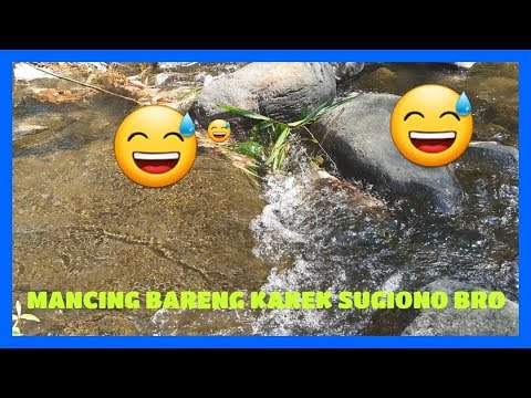 KESERUAN KAKEK SUGIONO SAAT MANCING ,TANPA WIK WIK WIK
