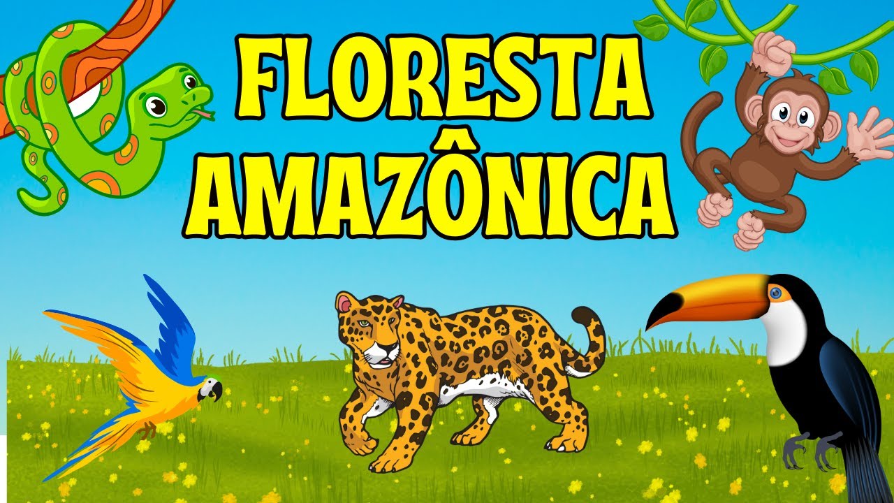 Aprender os ANIMAIS da FLORESTA AMAZÔNICA | - YouTube