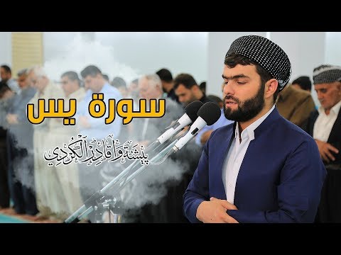 تلاوة  مريحة و هادئة من سورة يس للقارئ بيشةوا قادر الكردى #رمضان_2019