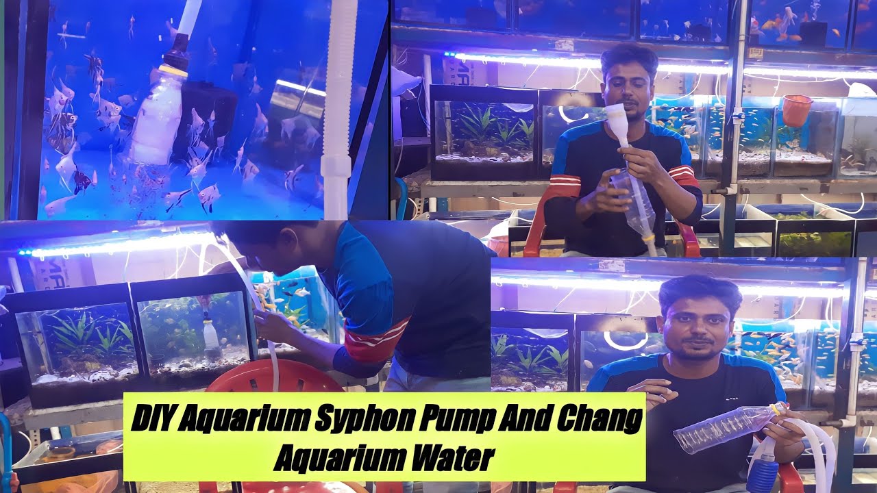 #DIY Aquarium Syphon Pump And Chang Aquarium Water - YouTube