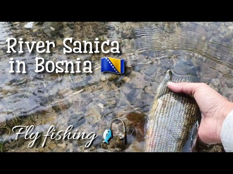 Fly Fishing in Bosnia | River Sanica | Dry fly and euro-nymphing - YouTube