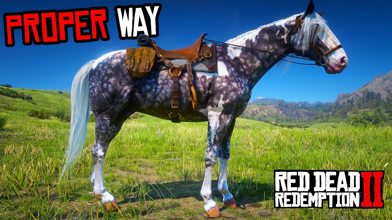 Proper Way To Get The Best & Fastest Missouri Fox Trotter Horse - RDR 2 ...