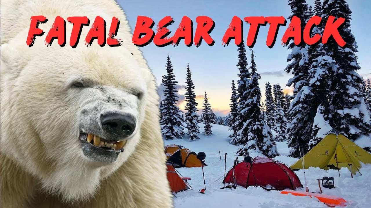POLAR BEAR Attacked Campsite | Horatio Chapple's Horrifying Story - YouTube