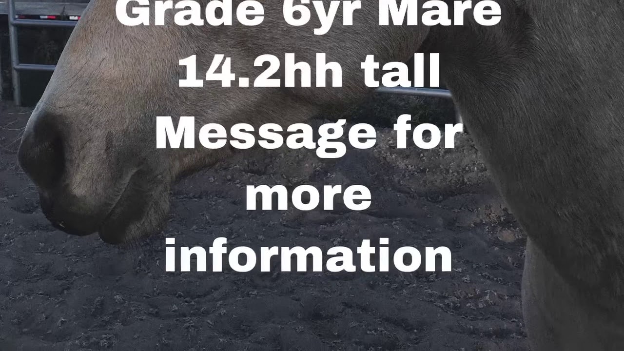 Storm Sale Video - YouTube