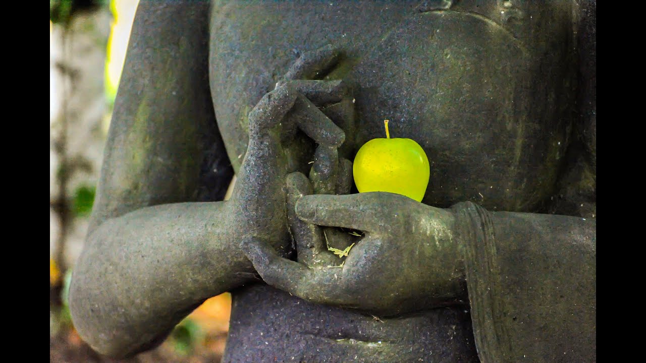 Recording of Daily Mudra: Karuna Mudra for Cultivating Compassion ...