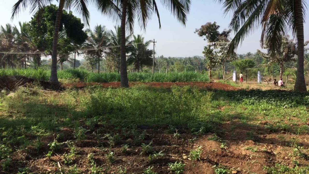 Thalavadi, Tamilnadu. Farm house. - YouTube