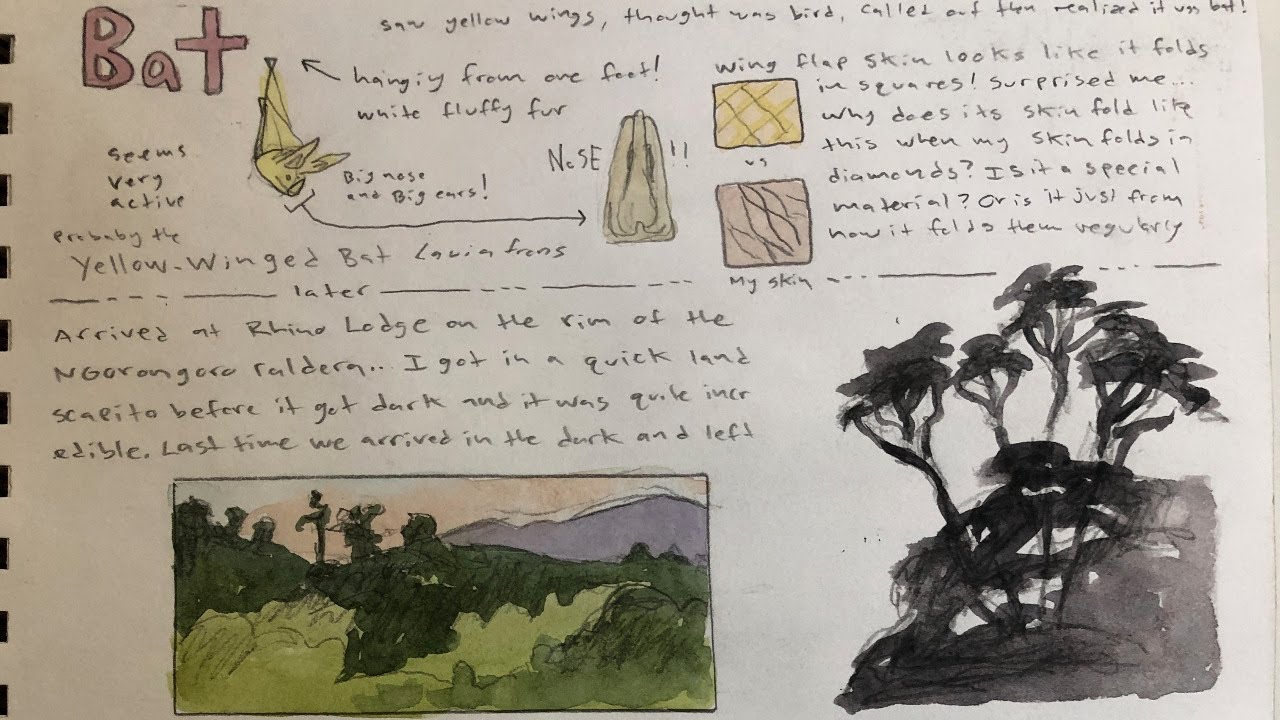 Nature Journal Page Layout Tricks: The Nature Journal Show Live - YouTube