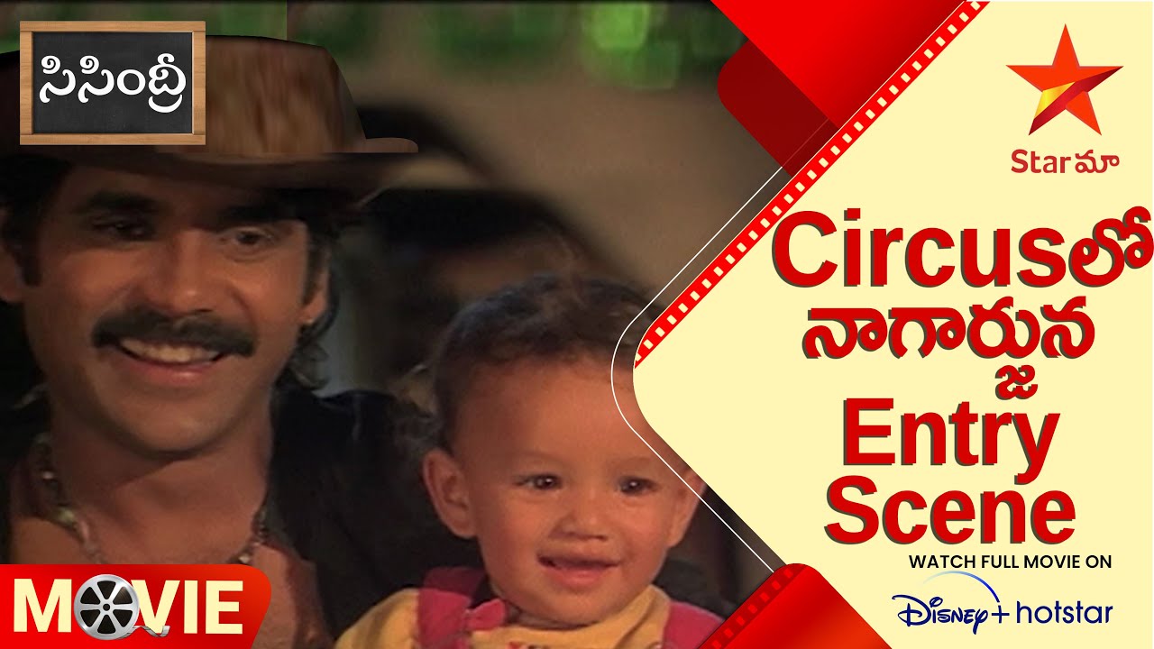 Sisindri Movie Scene | Circusలో నాగార్జున Entry Scene | Telugu Movies | Star Maa - YouTube