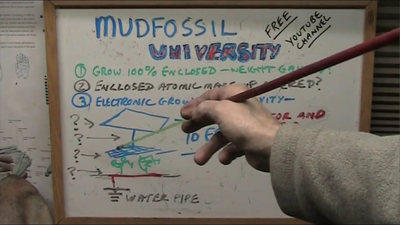 Mudfossil University Needs Experimenters Youtube
