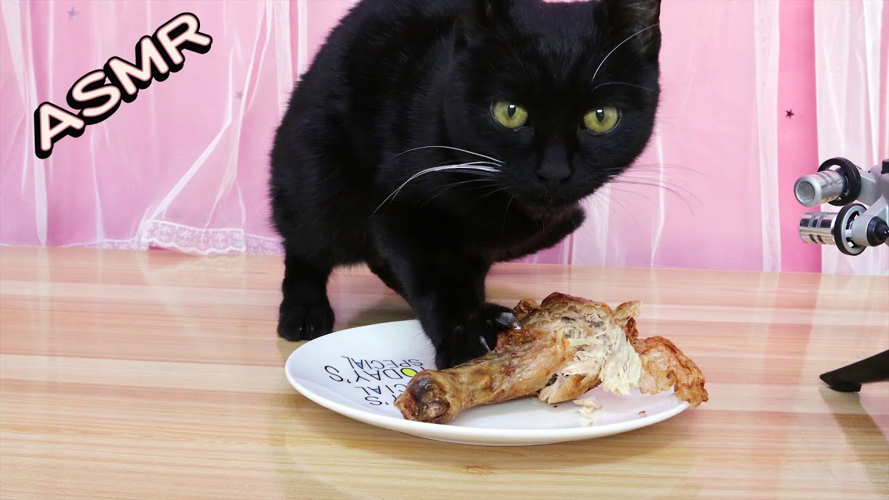 ASMR pet | cat eats roasted chicken legs - YouTube