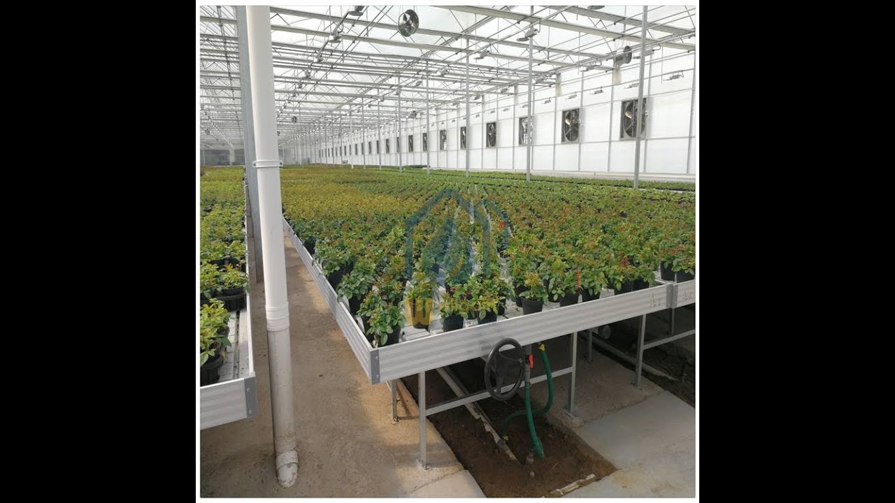 ebb and flow - YouTube