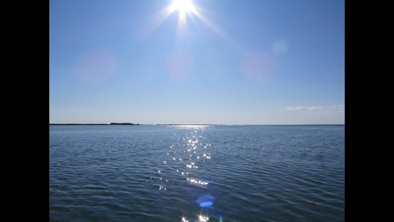 Shout Amen - Lyric Video - YouTube