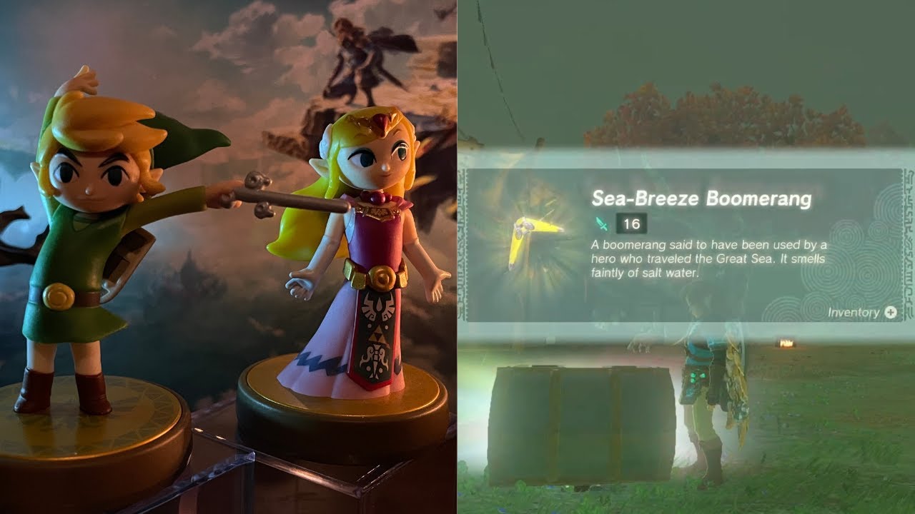 Tears of the Kingdom WIND WAKER LINK and ZELDA Drops and Showcase ...