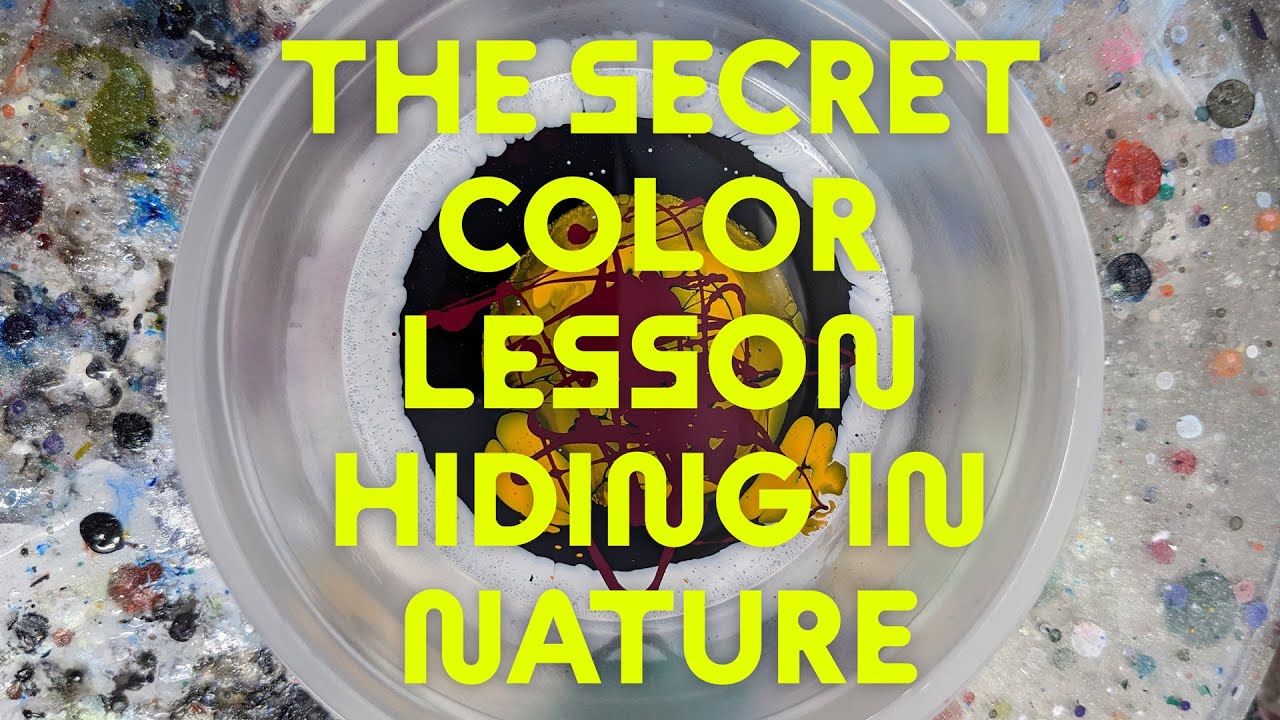 The Secret Color Lesson Hiding in Nature - YouTube