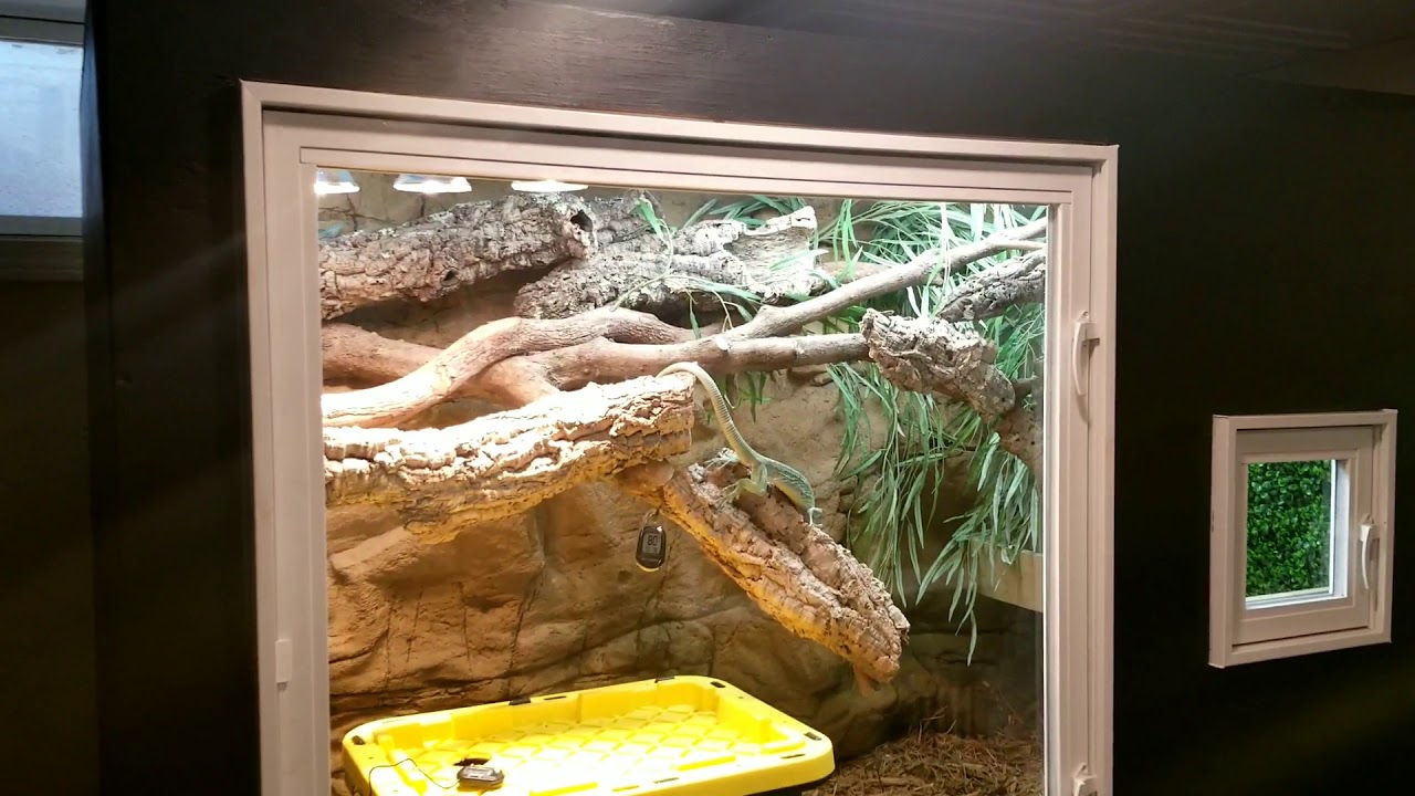 Tree Monitor Enclosures - YouTube