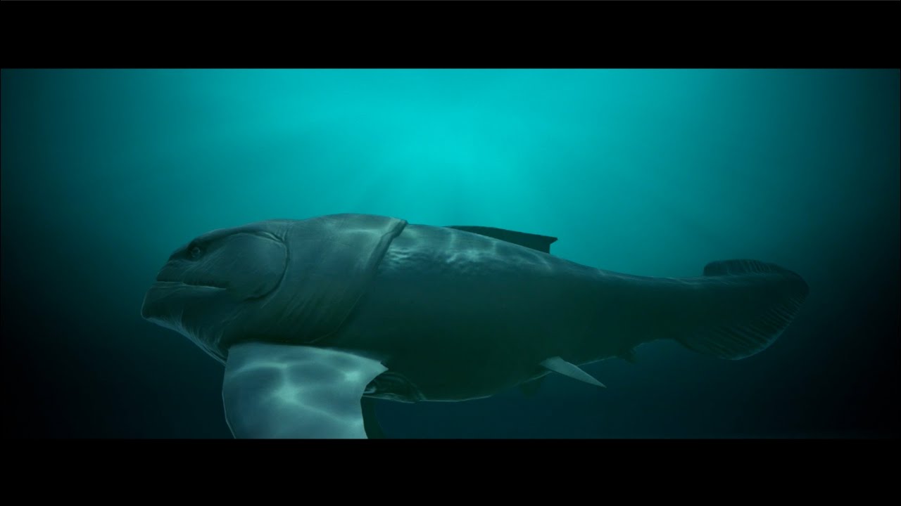 Devonian Seafloor Trailer - YouTube